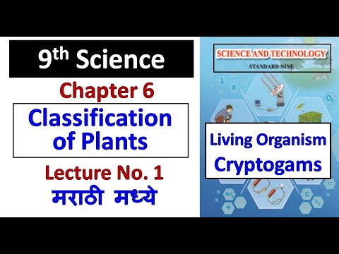9th Science Chapter 6 I Classification of Plants I Cryptogams I Lecture ...