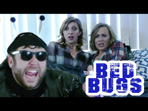 BED BUGS - TAYLOR SWIFT'S \