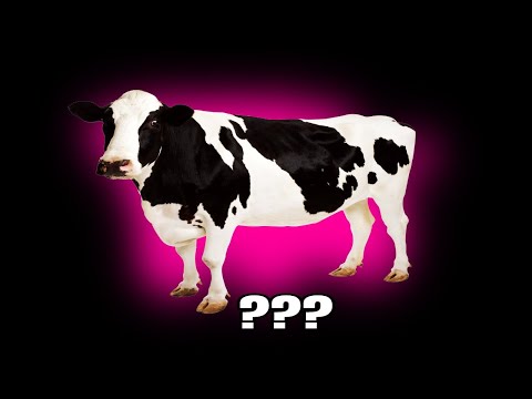 9 Cow Sound Variations in 35 Seconds