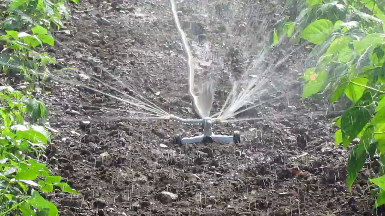 (2019-05-29) Spinning Garden Sprinkler - YouTube