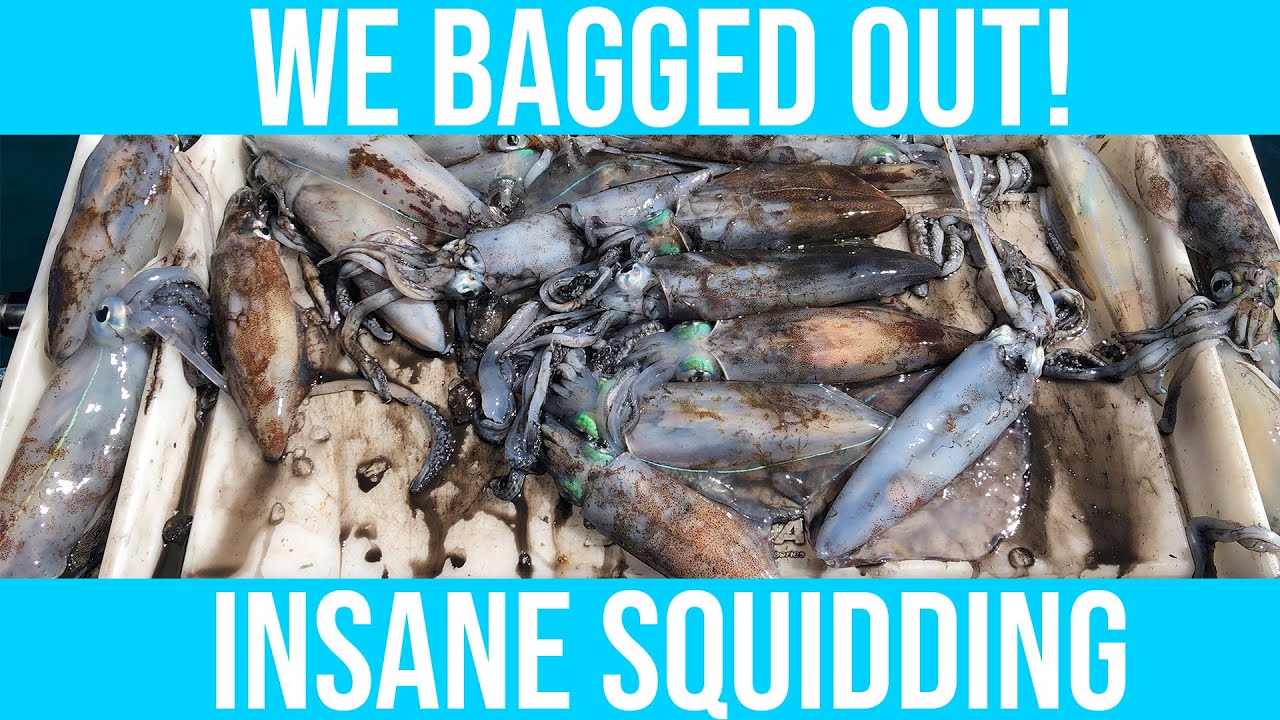 INSANE SQUIDDING SESSION catch and cook - EP 1 - YouTube