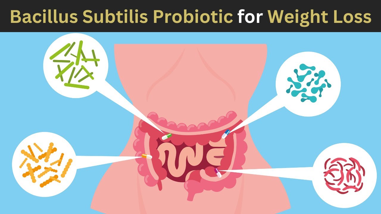 WARNING You'll Regret Not Using Bacillus Subtilis Probiotic for Weight ...