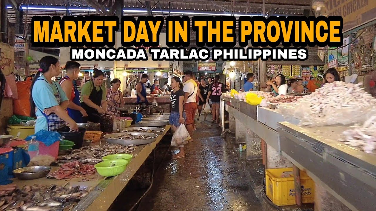 STREET FOOD AND MARKET DAY IN MONCADA PUBLIC MARKET|TARLAC PHILIPPINES ...