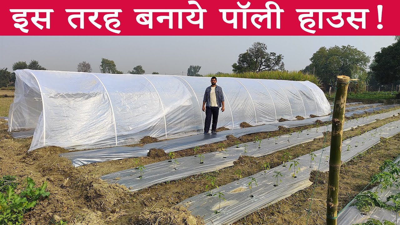 How to make polyhouse at home. Step by Step. Polyhouse kaise banaye # ...