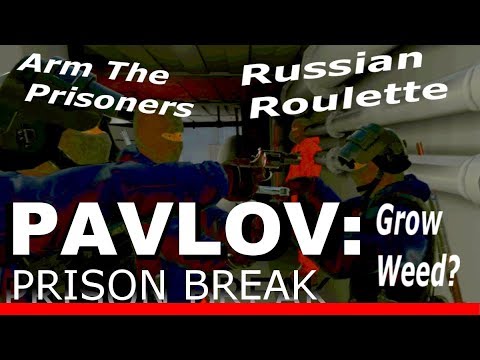 We grow weed and play Russian Roulette in a prison basement. Pavlov VR ...