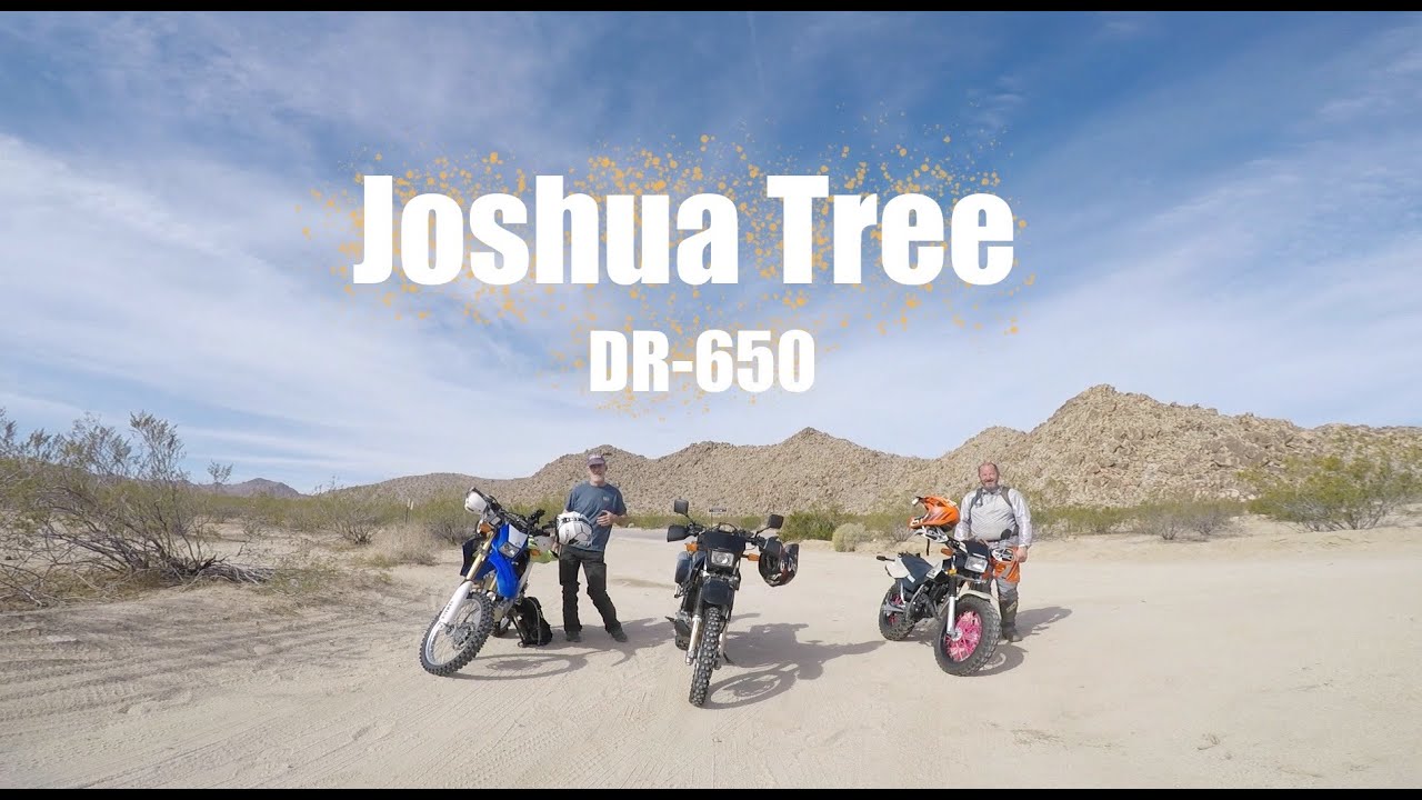 Joshua Tree National Park ride on DR650 - YouTube