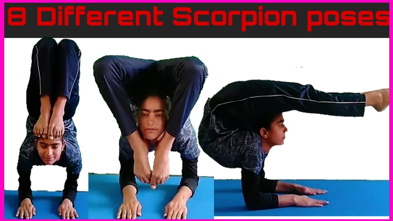 Different Scorpion pose/Vrischik Asana by yoga saathi team. - YouTube
