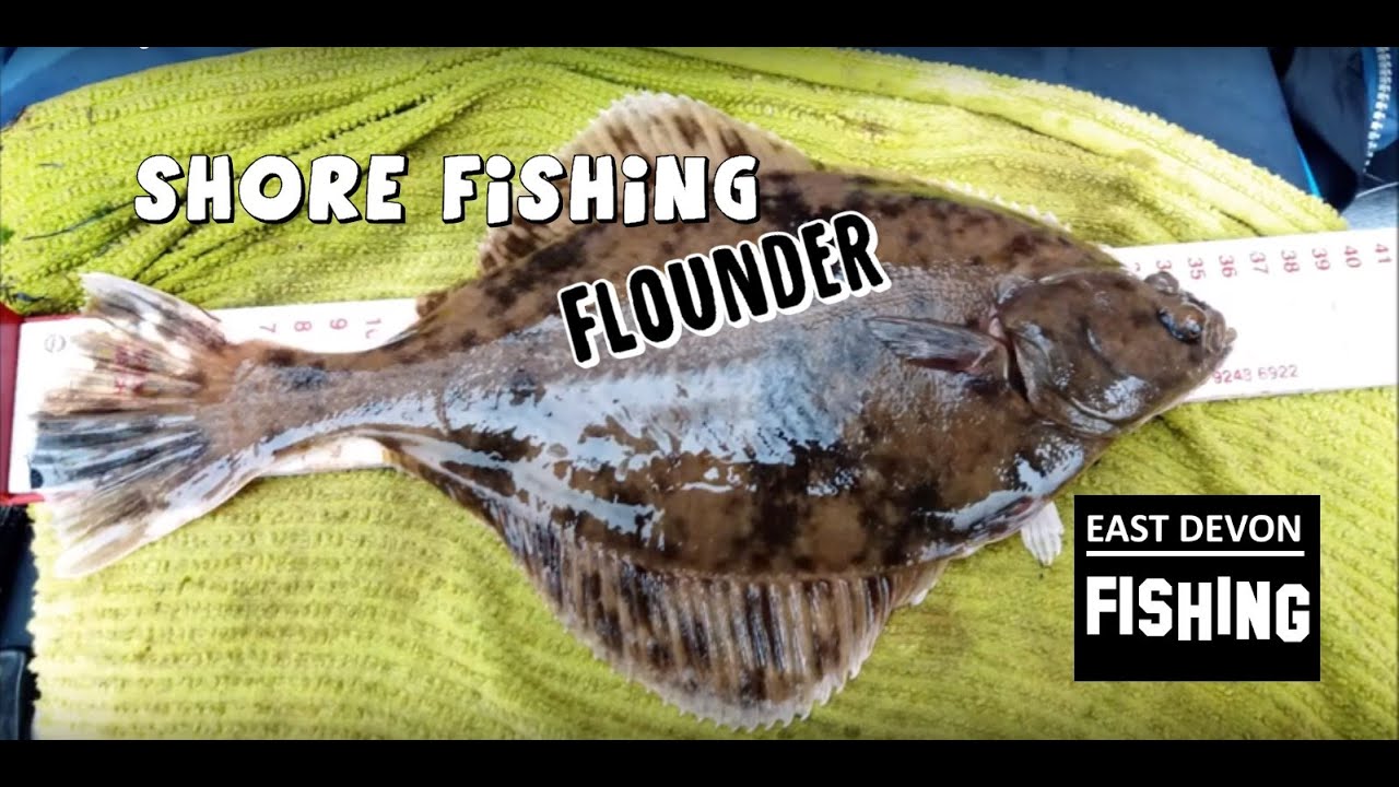 Shore fishing for Flounder - YouTube
