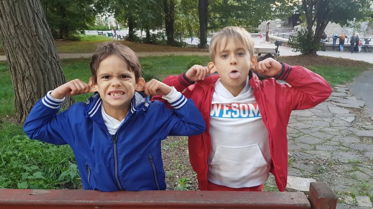 Lesson of good manners from monkeys - YouTube