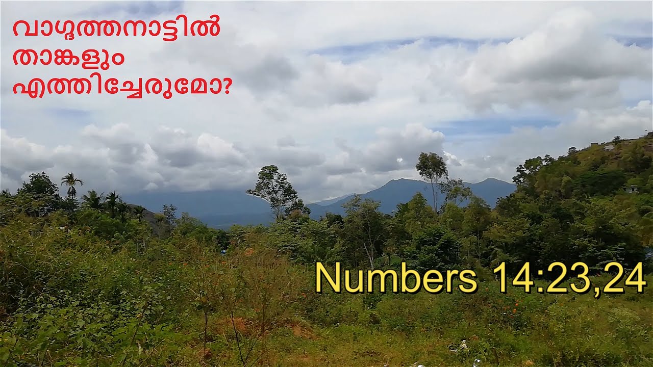 Numbers 14:23,24/Promised Land/Malayalam Christian Message/Bible Study ...