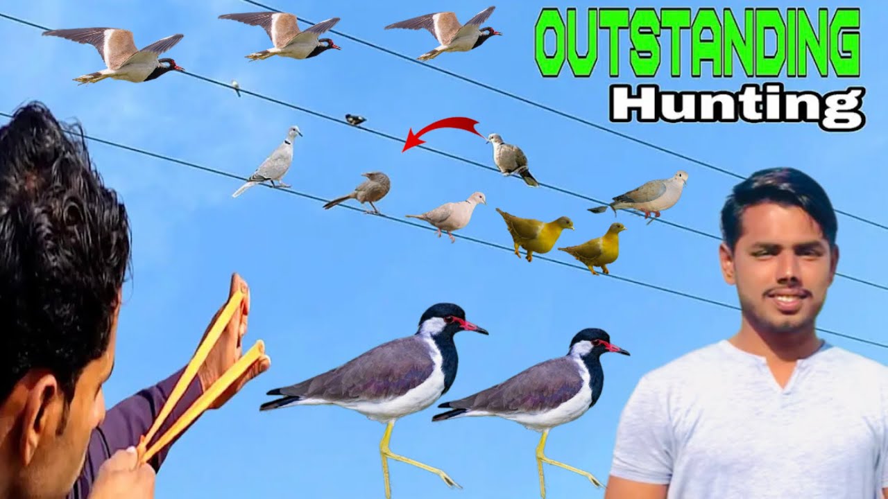 Birds Hunting New shot hunting viral video hunting slingshot video ...