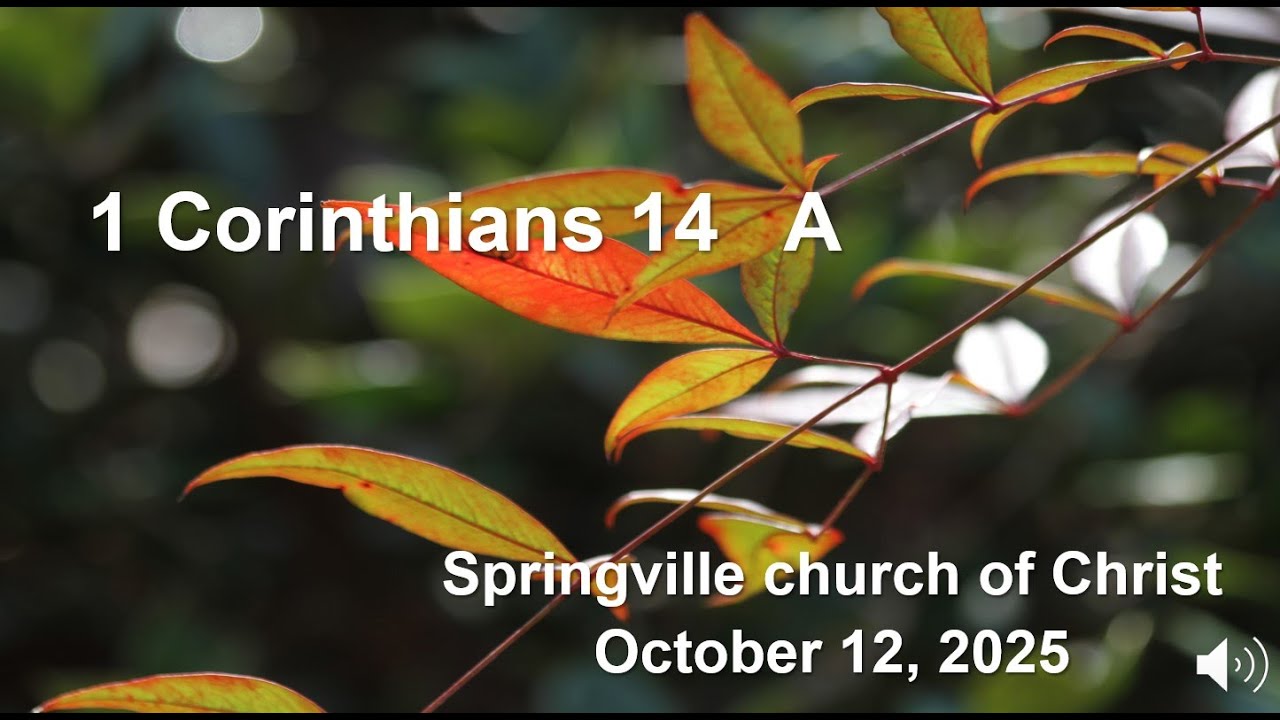 1 Corinthians 14:1-20 - YouTube