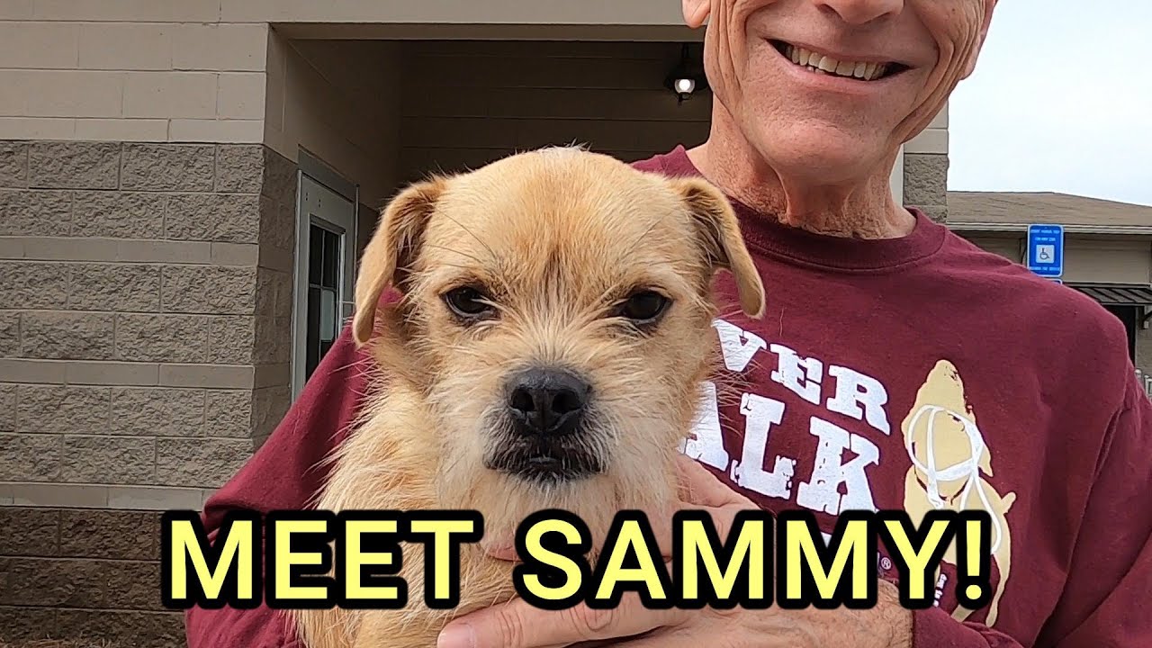 MEET SAMMY! - YouTube