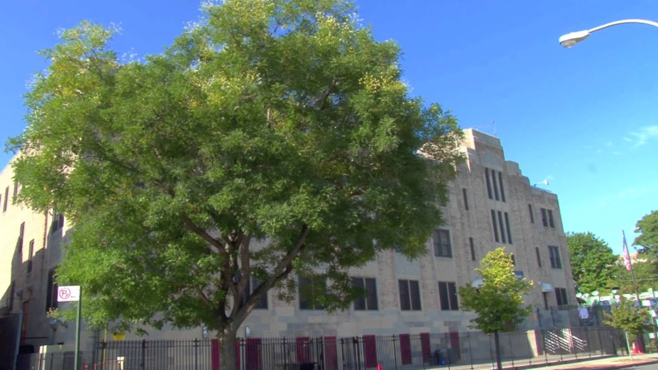 The Young's Women's Leadership Middle School, Queens - YouTube