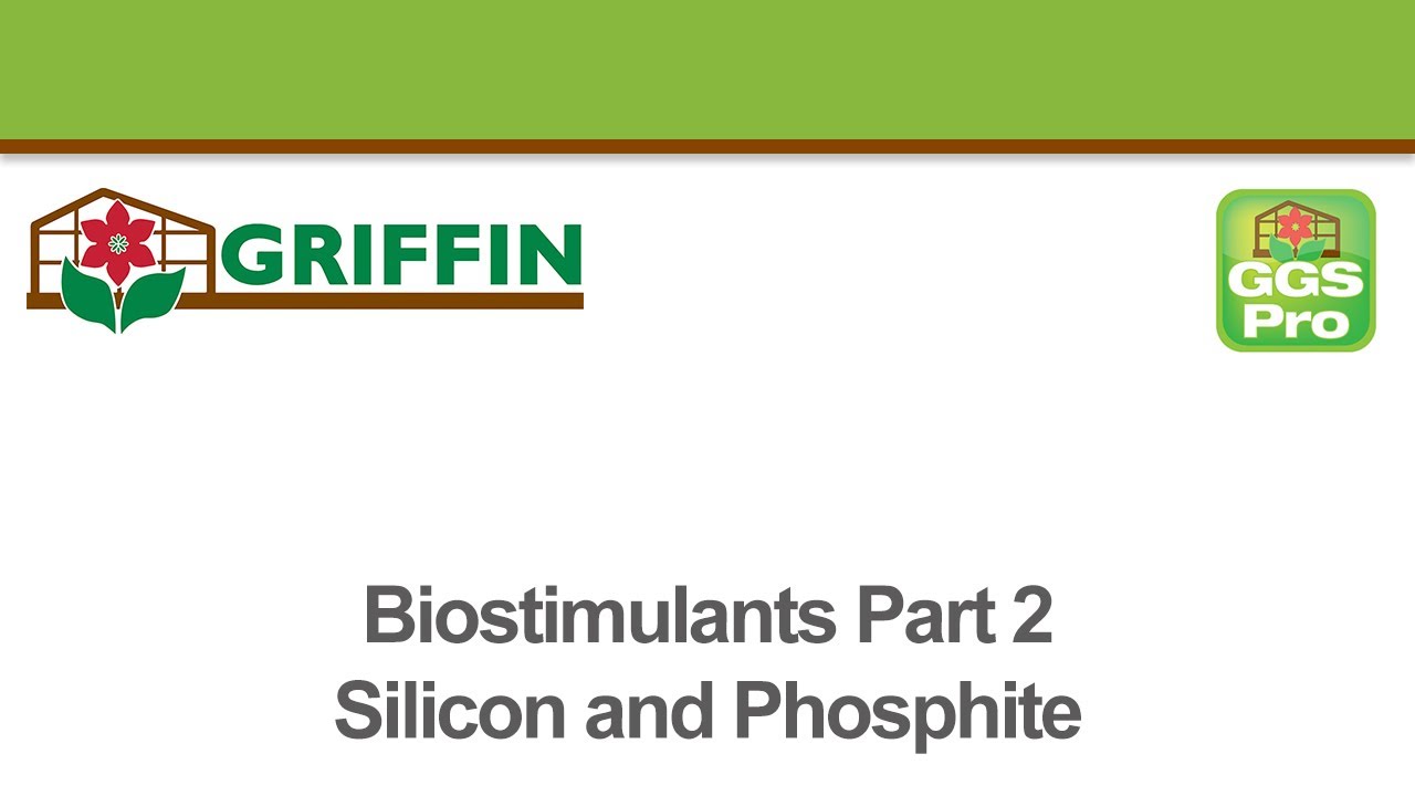 Biostimulants Part 2 - Silicon and Phosphite - YouTube