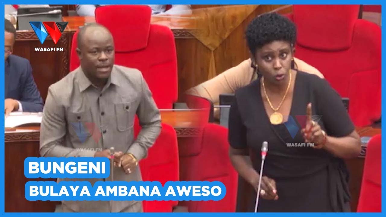 BUNGENI: ESTHER BULAYA AMBANA WAZIRI AWESO, SIKIA AWESO ALIVYOPANGUA ...
