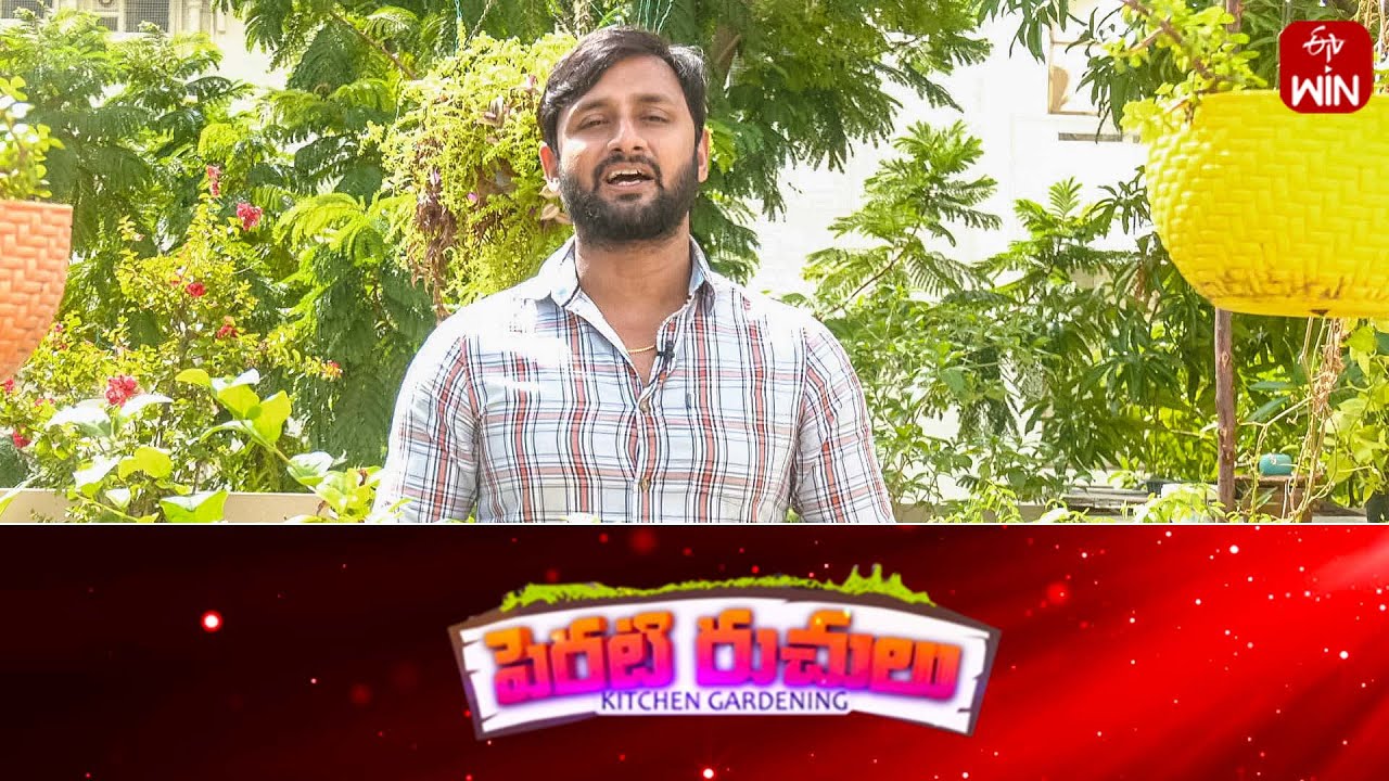 Perati Ruchulu | 26th July 2024 | Full Episode | ETV Abhiruchi - YouTube