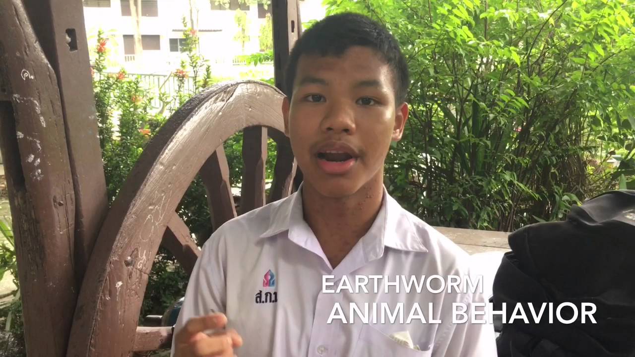 EARTHWORM TAXIS - YouTube