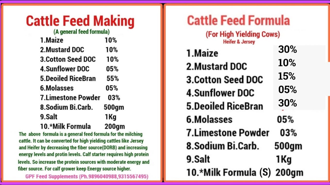 Cattle Feed Formula /पशु आहार फार्मूला/ फीड सस्ती करें/ Improve feed ...