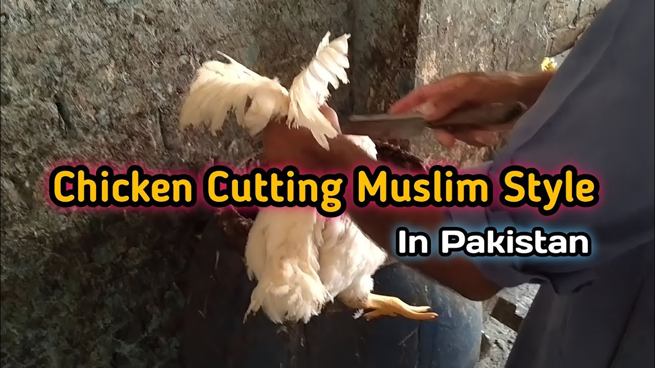 Chicken Cutting Muslim Style in Pakistan, How to cut a while chicken ...