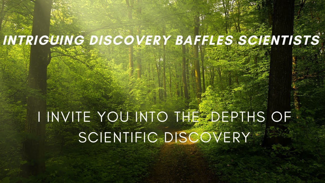 "Unveiling the Enigma: Unearthing Hidden Secrets in a Mysterious World ...