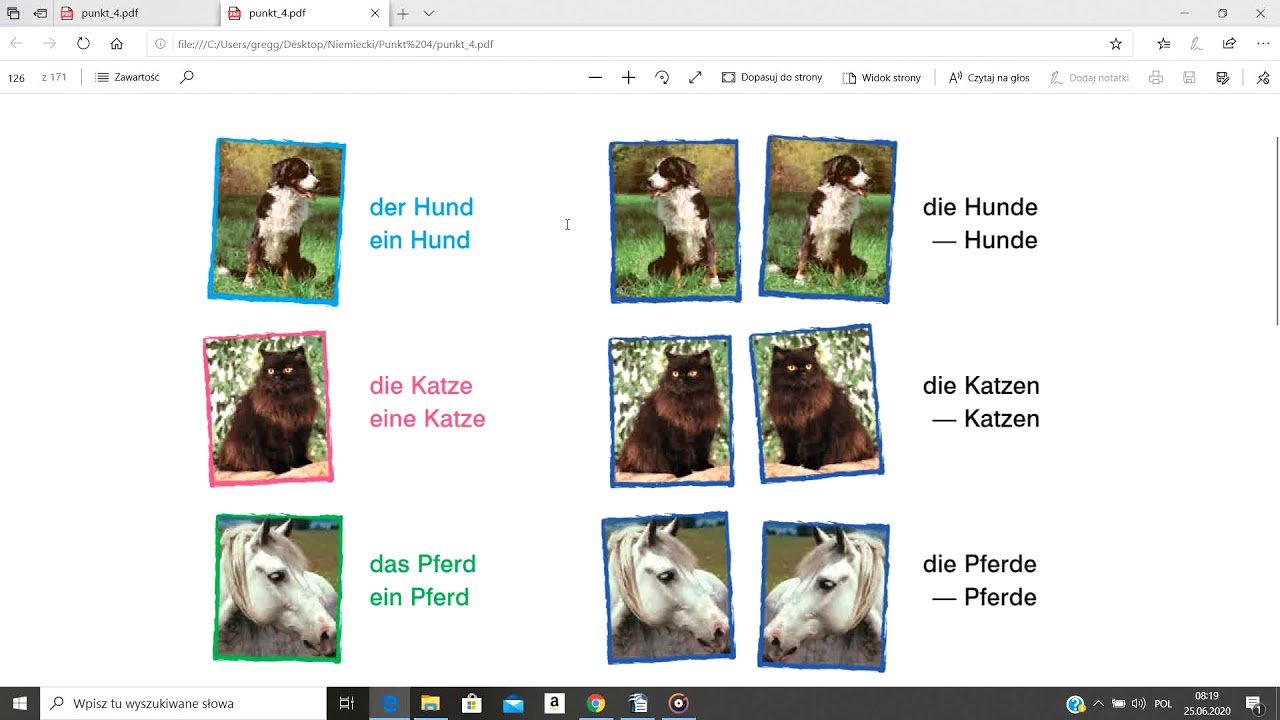 Lekcja zdalna 14 , język niemiecki, ,,Punkt'', klasa IV, temat: "Hast du ein Tier?". - YouTube