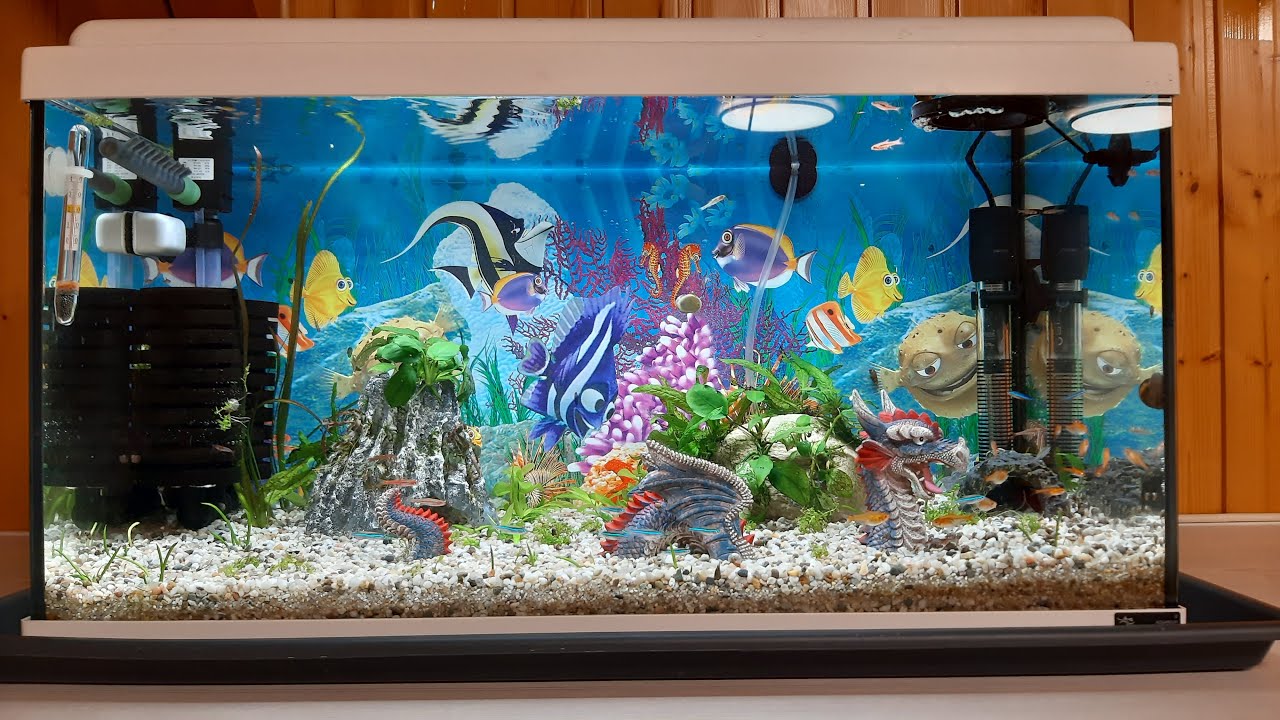 Aquarium Fr Kinderzimmer