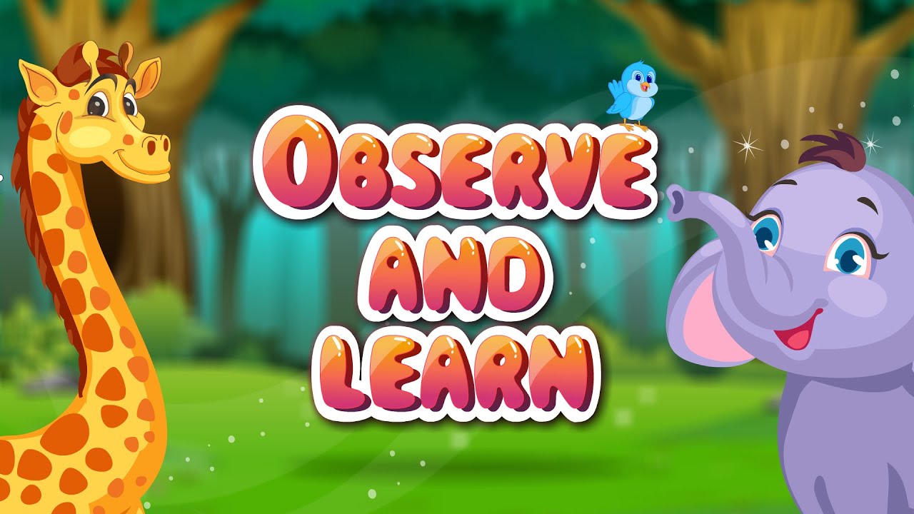Observe and Learn || Kids Fun and Learn - YouTube