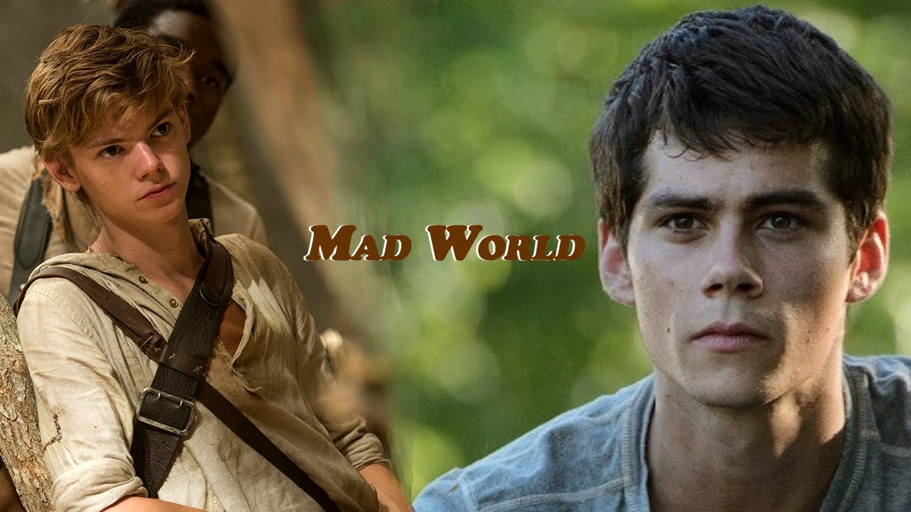 The Maze Runner // Mad World - YouTube