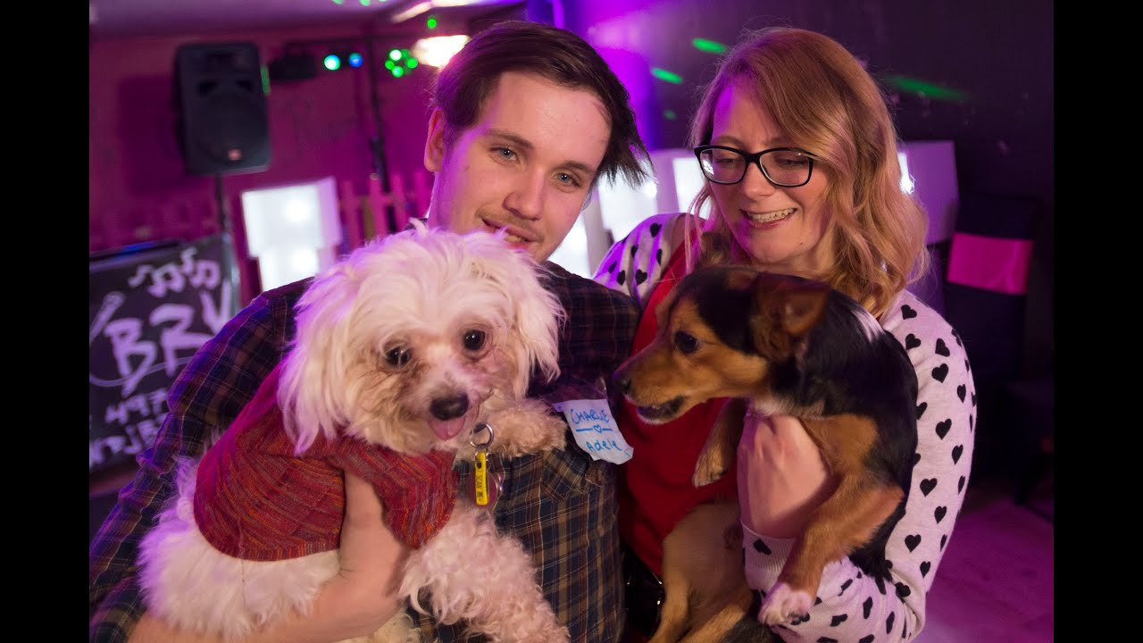 Adorable dogs looking for puppy love at the world's first canine speed ...