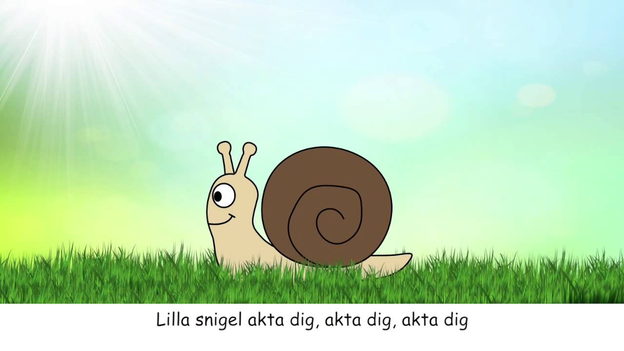 Lilla snigel - YouTube
