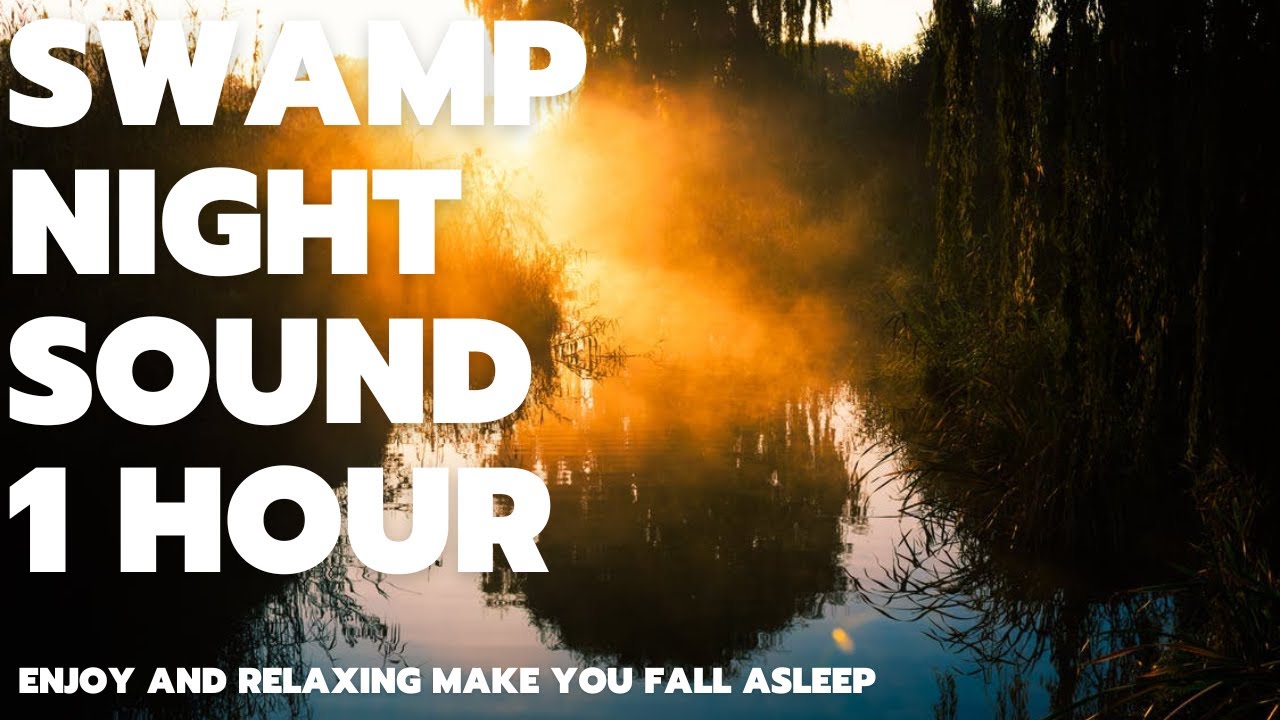 Swamp Night Sound 1 Hour l Enjoy and Relaxing Make You Fall A Sleep ...