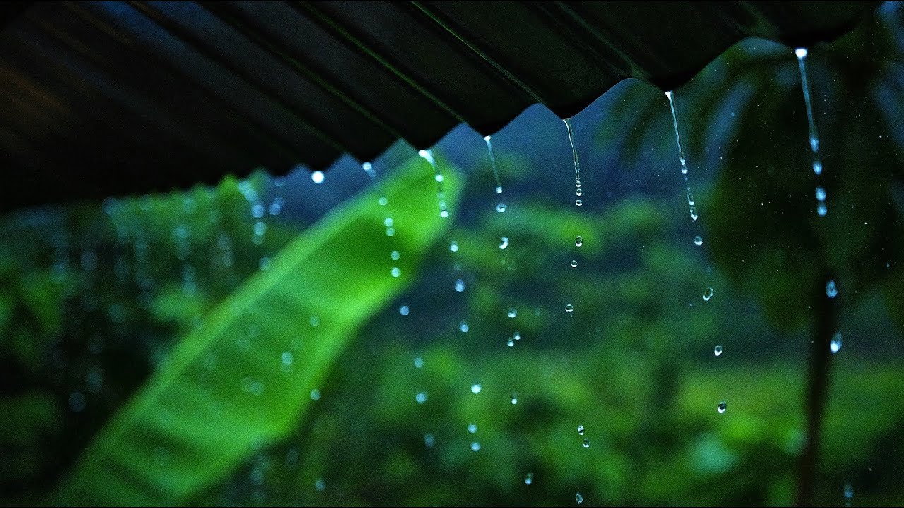 MONSOON. Sounds of rain and thunder for rest and sleep. - YouTube