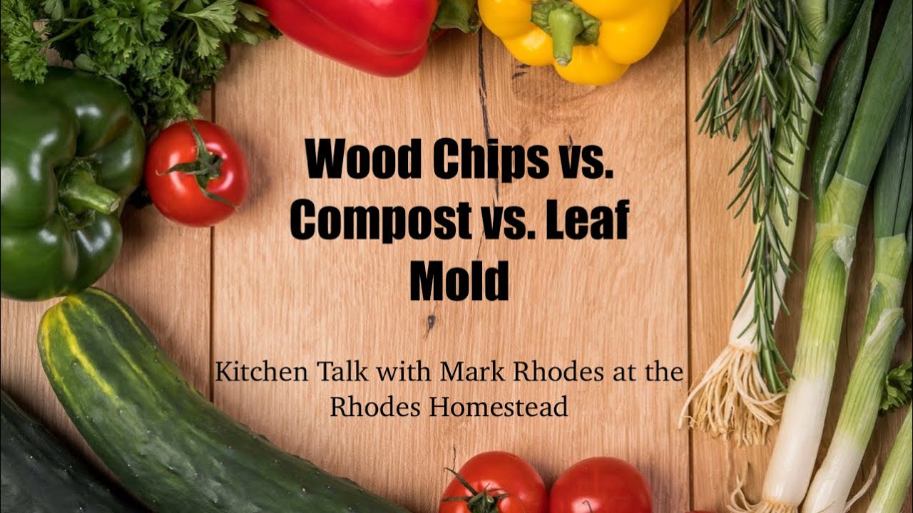 Wood Chips vs Leaf Mold vs Compost - YouTube