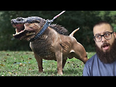 10 montagens realistas que VIRALIZARAM na internet