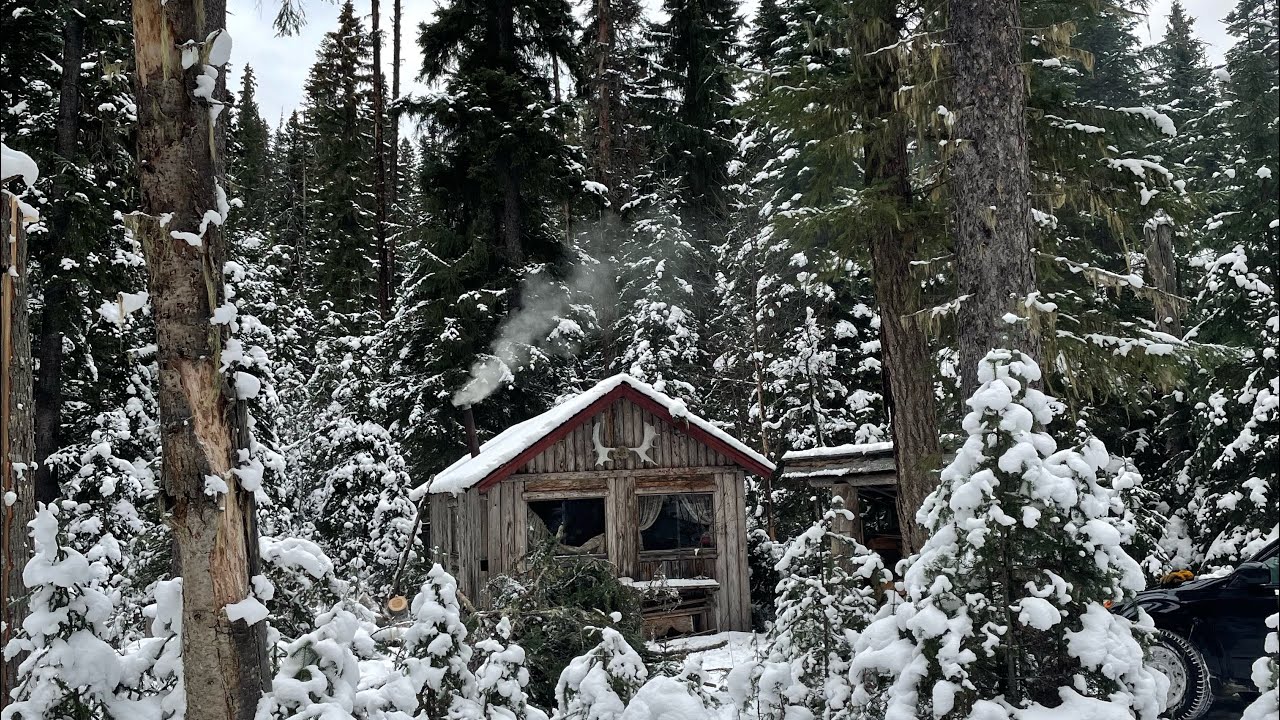 Winter At Remote Off Grid Trappers Cabin in Northern British Columbia ...