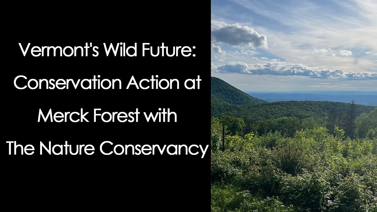 Vermont's Wild Future: Conservation in Action at Merck Forest with The ...
