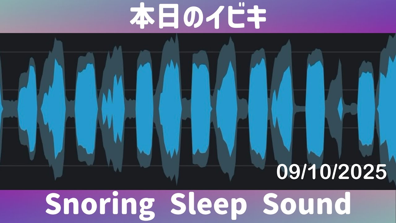 🐽 Snoring Sleep Sound / いびきの音 - YouTube
