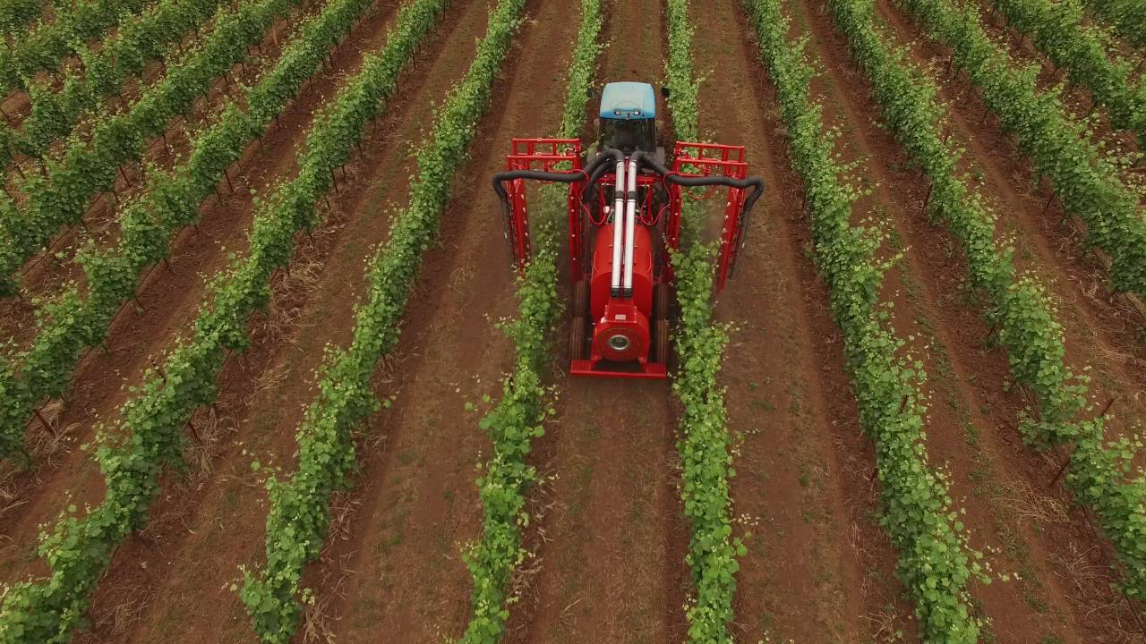 Rear's Mfg LVOTR in 8' Vertical Trellis Grapes - YouTube