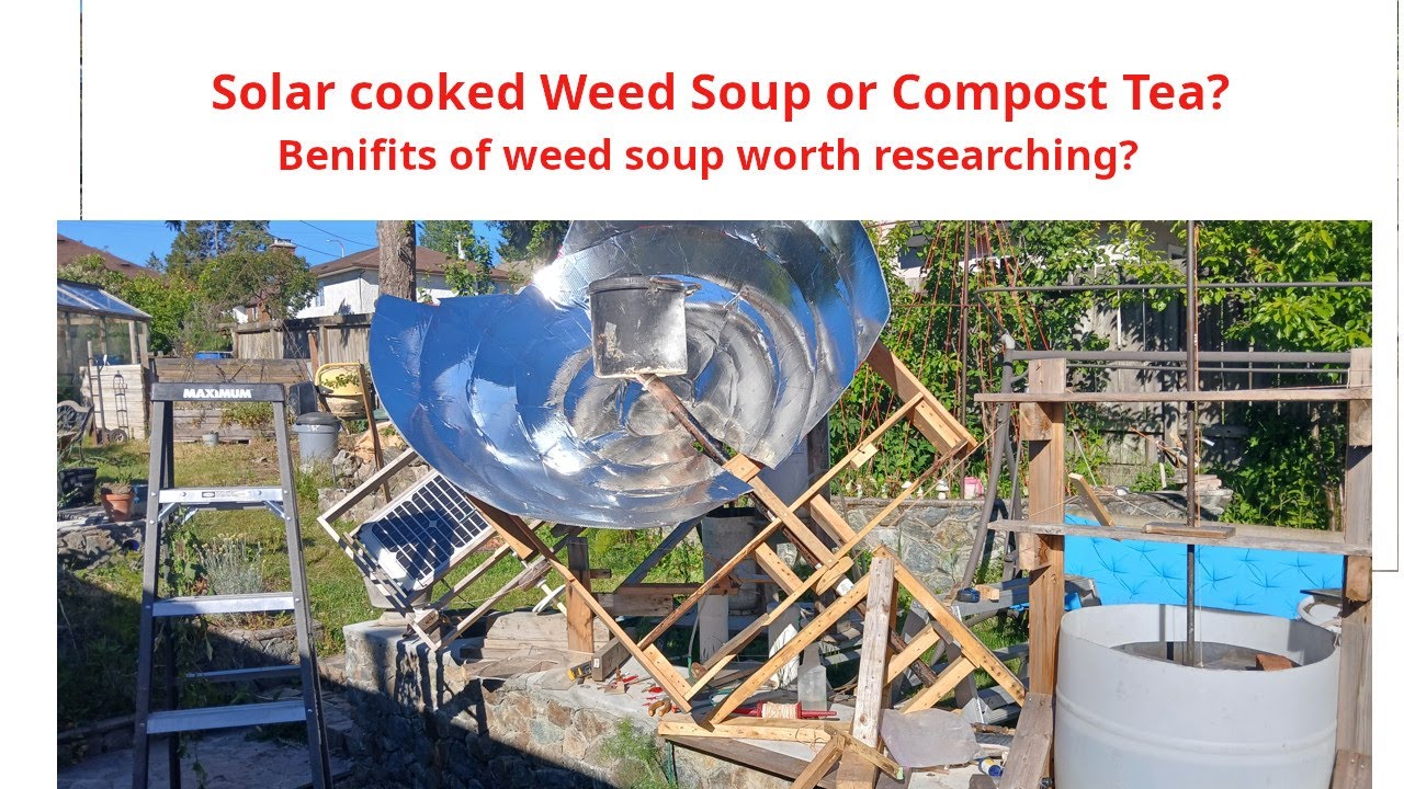 Weed soup better than compost tea? Solar steamed soil and weed soup ...