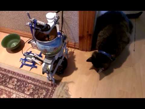 lego MINDSTORMS: automatic cat feeder - YouTube