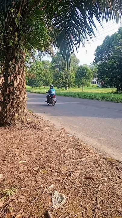 Aman ya jalan lingkar banyuasin #tukangrumput #banyuasin - YouTube