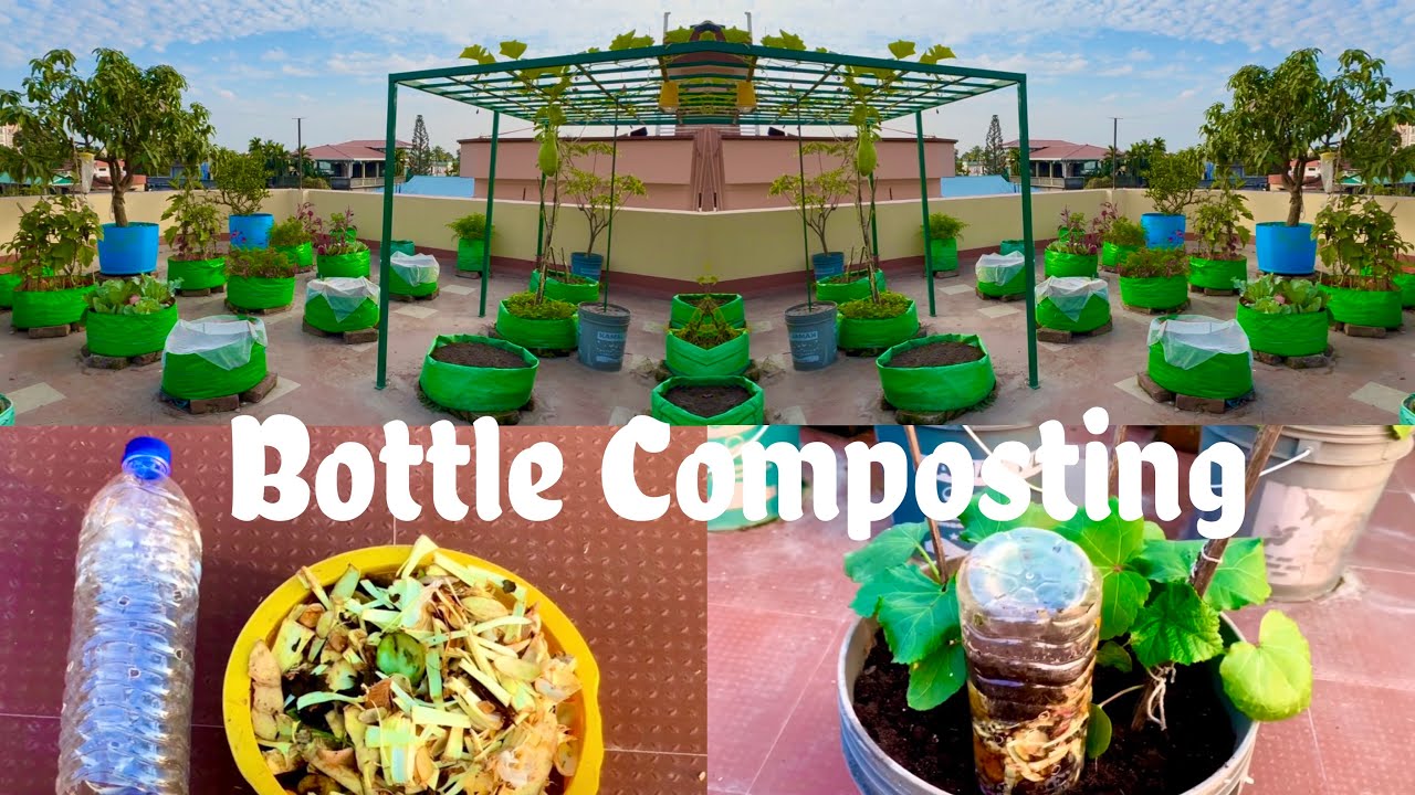 Bottle Composting For Organic Gardening - YouTube