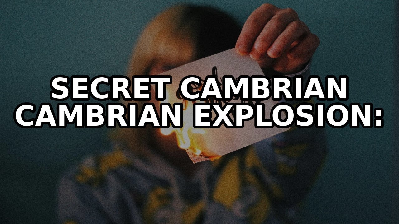 Cambrian Explosion: The Secret Rapid Evolution of Life Revealed! - YouTube