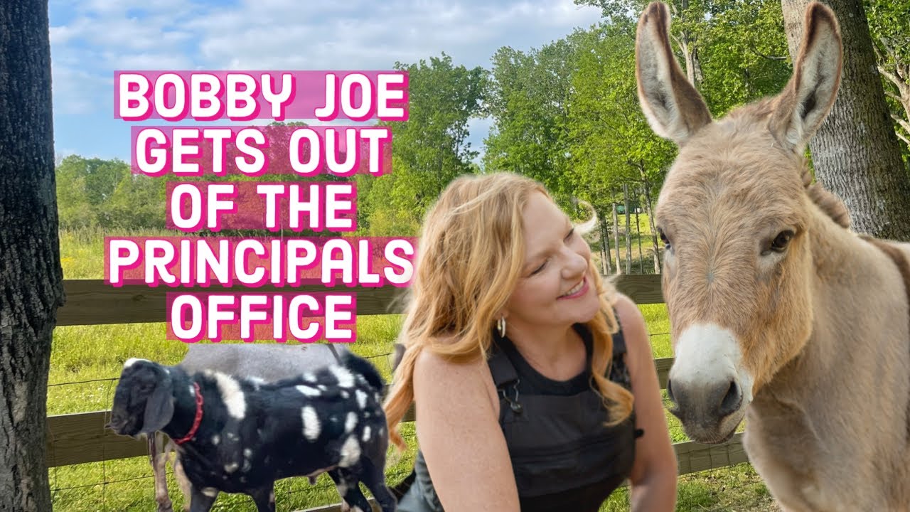 Bobby Joe finally stays out of the principals office for jumping the ...
