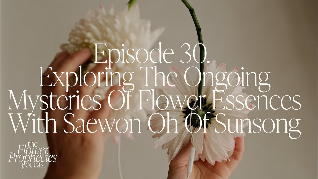 30. Exploring The Ongoing Mysteries Of Flower Essences With Saewon Oh ...