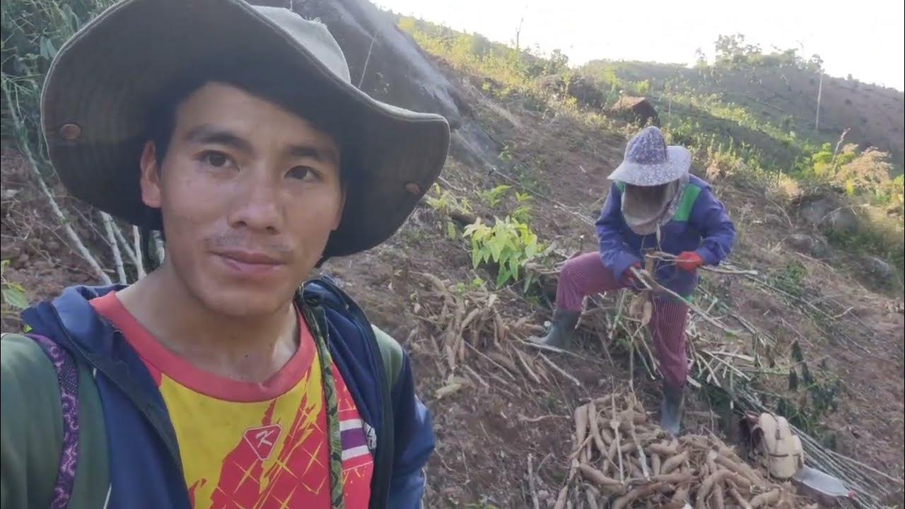 Hnub no kuv tu hlub wb mu txiaj qia dos nawb tshav kub heev lis 3/1/2025 - YouTube