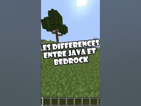 Les différences entre Java et Bedrock pt1 #shorts #minecraft - YouTube
