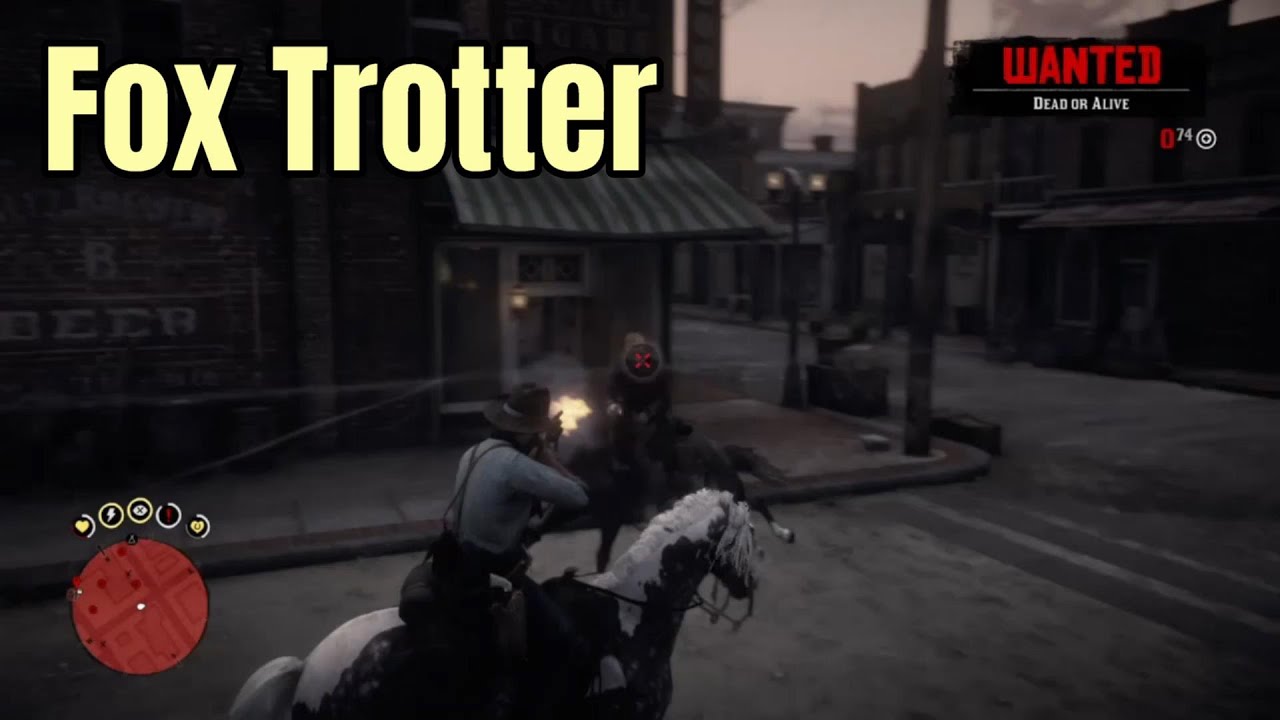 Silver Dapple Pinto Missouri Fox Trotter Horseman 9 Run and Good ...