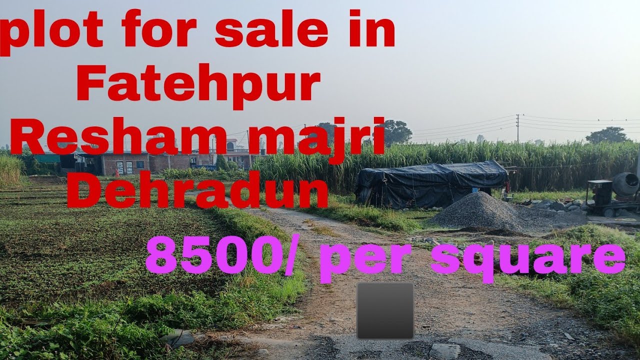 plot for sale 675 Gaj Fatehpur Resham majri Dehradun - YouTube